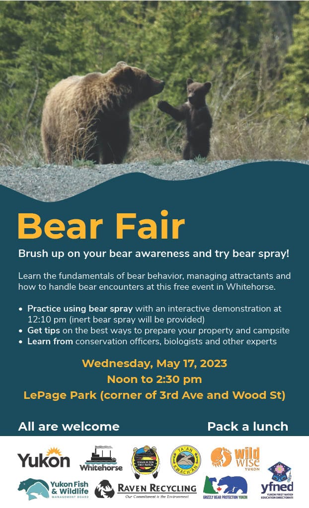 Join us at the Bear Fair on Wednesday, May 17! - Kwanlin Dün First Nation