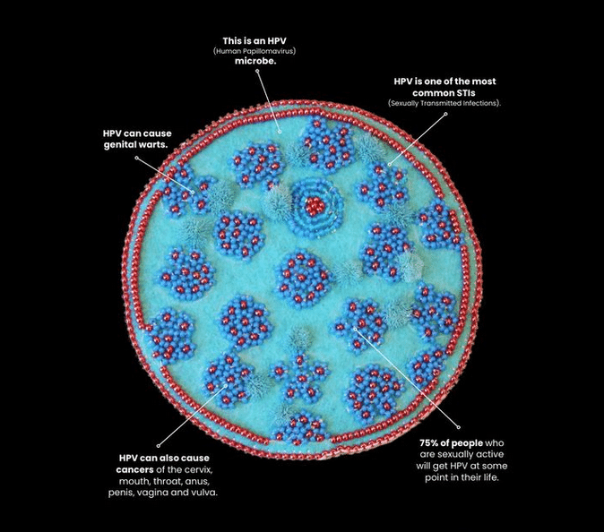HPV Vaccine Beadwork - Kwanlin Dün First Nation